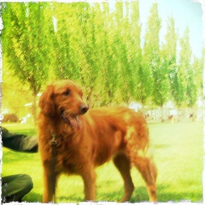 UNTHANK PARK - Updated December 2025 - 11 Reviews - 510 N Shaver St ...