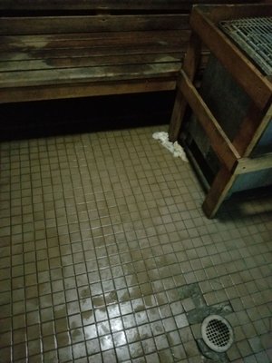 IN-SHAPE FITNESS - Updated October 2025 - 65 Photos & 216 Reviews ...