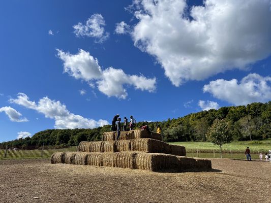 SPRINGRIDGE FARM - Updated November 2025 - 160 Photos & 44 Reviews ...