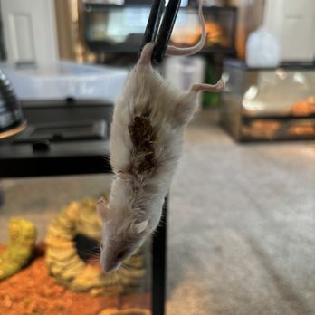 THAT FISH PLACE - THAT PET PLACE - Updated December 2025 - 149 Photos ...