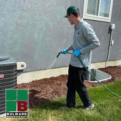 BULWARK EXTERMINATING - 10 Photos & 32 Reviews - 5310 Old Wake Forest ...