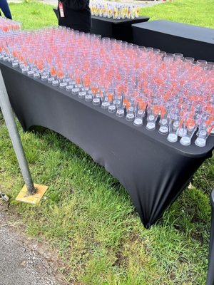 PRINCE WILLIAM COUNTY FAIR - Updated December 2025 - 80 Photos & 25 ...