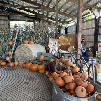 BAILEY FAMILY FARM - Updated December 2025 - 224 Photos & 65 Reviews ...