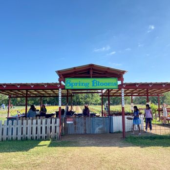 SWEET BERRY FARM - Updated May 2024 - 217 Photos & 169 Reviews - 1801 ...