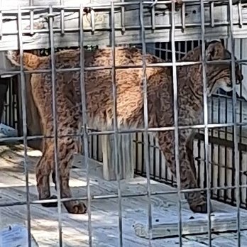 OCTAGON WILDLIFE SANCTUARY - Updated October 2025 - 213 Photos & 45 ...