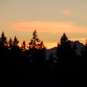 RASPBERRY RIDGE FARM - 20 Photos - 21614 Big Valley Rd, Poulsbo ...