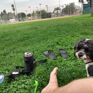 SHATTO RECREATION CENTER & PARK - Updated October 2024 - 20 Photos & 16 ...