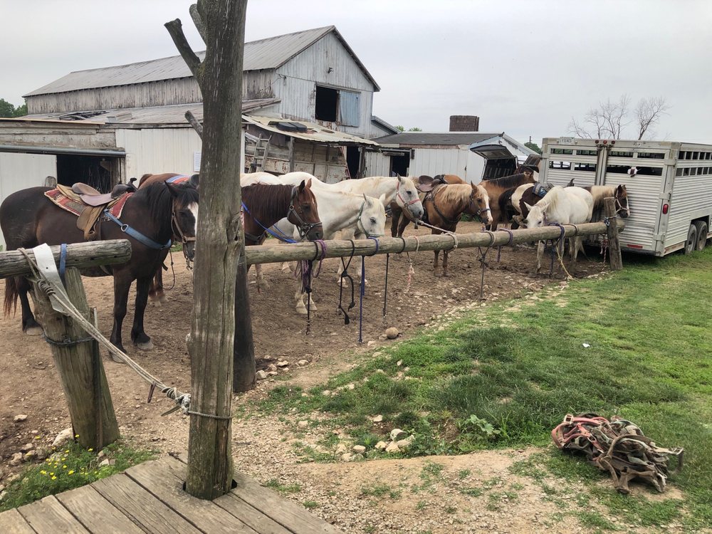 SALT CREEK RANCH - 21040 US Hwy 52, Laurel, Indiana - Horseback Riding ...