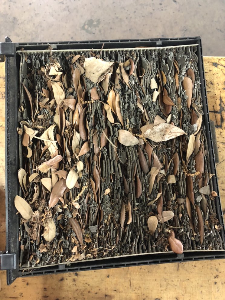 FAST MECHANIC SERVICE - Updated July 2025 - 12157 Bellaire Blvd ...