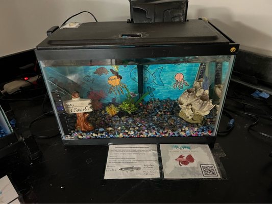 INFINITY FISH - Updated May 2024 - 27 Photos & 20 Reviews - 13003 ...