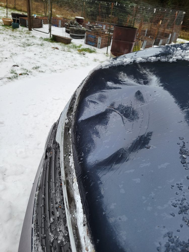 SANDY AUTO BODY - Updated September 2025 - 14 Reviews - 38650 Pioneer ...