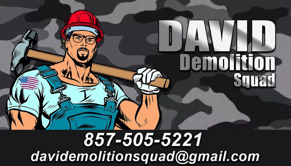 DAVID DEMOLITION SQUAD - Updated May 2024 - Request a Quote - Revere ...