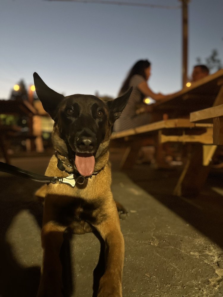 NITTY’S CIDER - Updated February 2025 - 119 Photos & 66 Reviews - 3201 ...