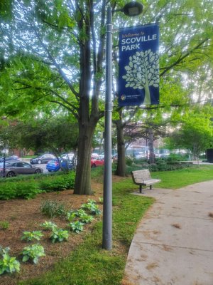 SCOVILLE PARK - Updated December 2025 - 26 Photos & 11 Reviews - 800 W ...
