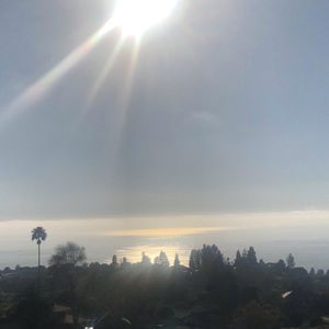 TIMOTHY LESSER, MD - Updated May 2025 - 11 Reviews - 20911 Earl St ...