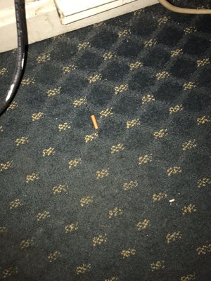 ALPINE MOTEL - Updated September 2024 - 485 Douglas Pike, Smithfield ...