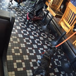 DOGPATCH SALOON - Updated July 2025 - 73 Photos & 126 Reviews - 2496 ...