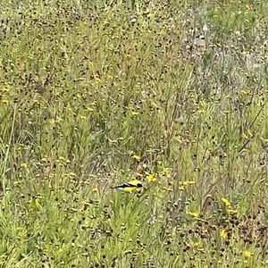 BIGGERSTAFF PARK - Updated December 2025 - 14 Photos - 144 Leisure Ln ...