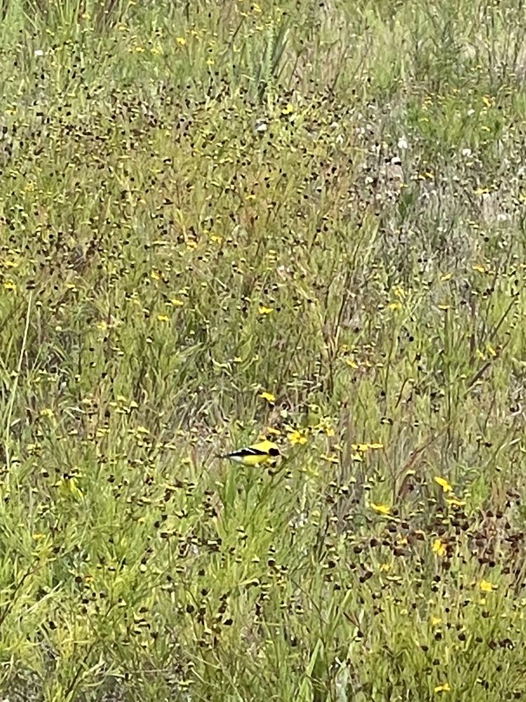 SHUFFLETOWN PARK - Updated December 2025 - 9500 Bellhaven Blvd ...