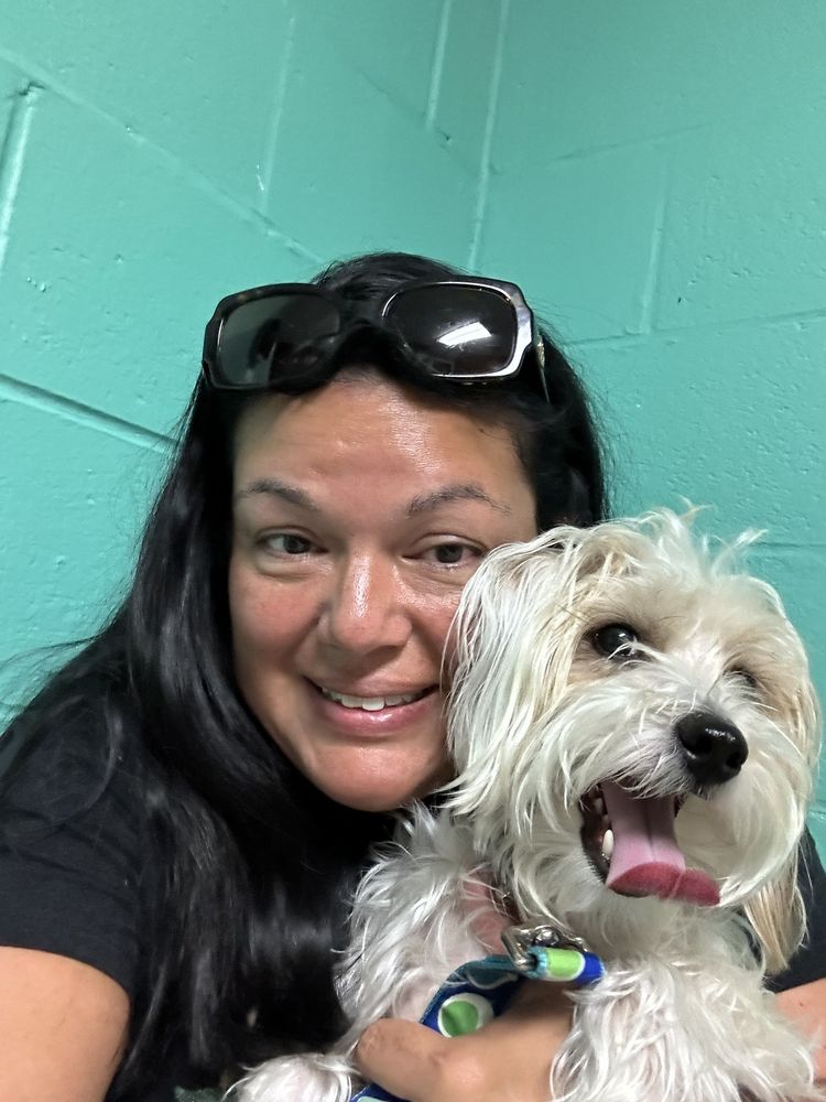 PORTLAND VET HOSPITAL - Updated January 2026 - 14 Reviews - 520 W ...