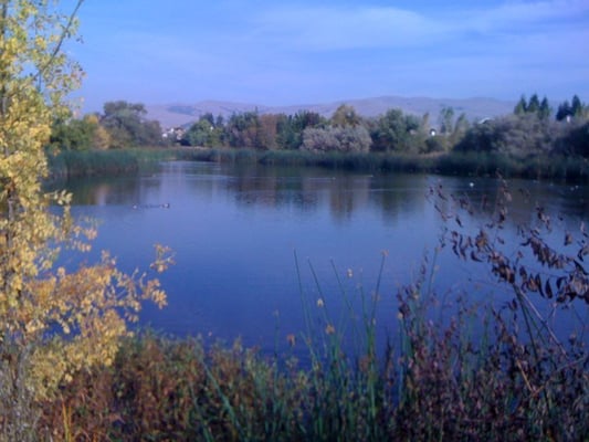 TULE PONDS AT TYSON LAGOON WETLAND CENTER - Updated October 2025 - 29 ...