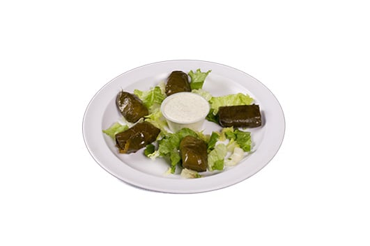 GYROS PALACE - Updated July 2025 - 109 Photos & 176 Reviews - 8378 W ...