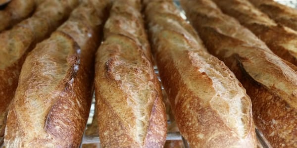 TRUE LOAF BREAD - Updated January 2026 - 19 Reviews - 573 Gladstone ...