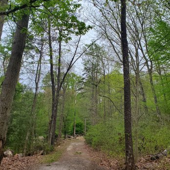 TIMBERLAND LAKE CAMPGROUND - Updated December 2025 - 42 Photos & 25 ...