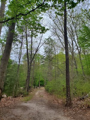 TIMBERLAND LAKE CAMPGROUND - Updated December 2025 - 42 Photos & 25 ...