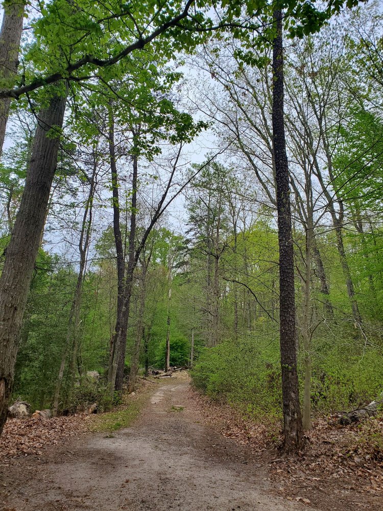 TIMBERLAND LAKE CAMPGROUND - Updated December 2025 - 42 Photos & 25 ...