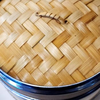 U DUMPLING HOUSE - Updated October 2024 - 81 Photos & 45 Reviews - 266 ...