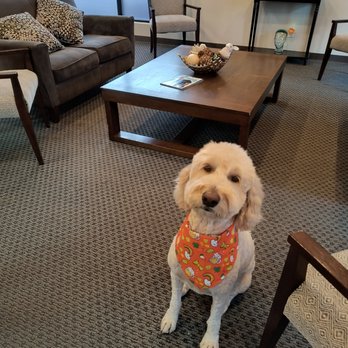 BENASSI FAMILY DENTISTRY - Updated September 2025 - 16 Reviews - 735 N ...