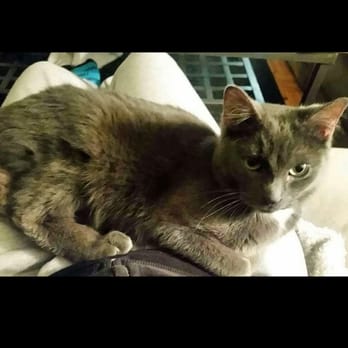 TORONTO ANIMAL SERVICES EAST SHELTER - Updated January 2026 - 39 Photos ...