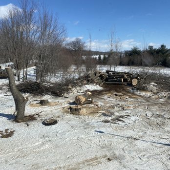 SUNRISE TREE SERVICE - Updated December 2025 - 22 Photos - North Branch ...