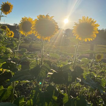 ARGOS FARM - Updated October 2024 - 72 Photos & 35 Reviews - 1250 Lacey ...