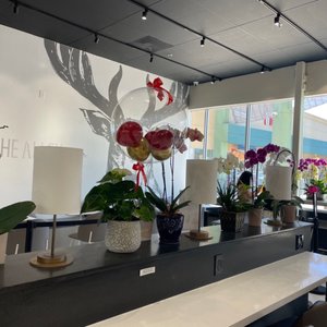 THE ALLEY BOBA TEA - ELK GROVE - 237 Photos & 76 Reviews - 7440 Laguna ...