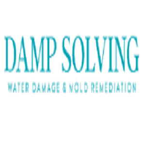 DAMP SOLVING WATER & MOLD - Updated January 2025 - 425 W Airline Hwy ...