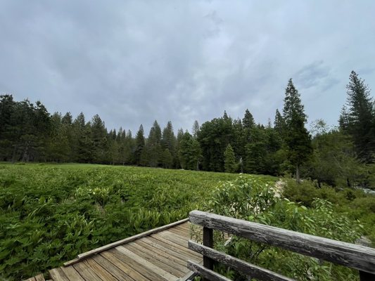 PIPI CAMPGROUND - Updated June 2025 - 122 Photos & 44 Reviews - Pioneer ...