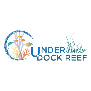 UNDER DOCK REEF - Updated November 2025 - 17 Photos - Sarasota, Florida ...