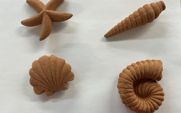 The Build Guild Updated February 2026 1025 Goshen Ave Fort Wayne