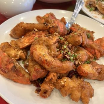 CANTON MANOR - Updated June 2025 - 851 Photos & 148 Reviews - 220-15 ...