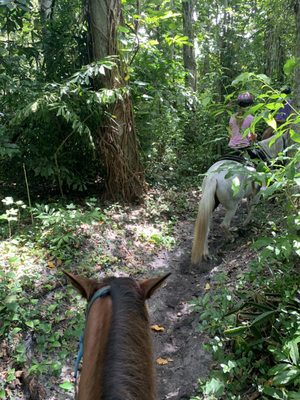 BAR-B-RANCH - 78 Photos & 60 Reviews - 3500 SW 121st Ave, Davie ...