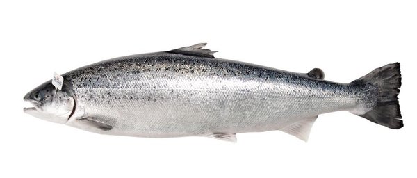 ASAMI FOODS - Updated December 2025 - 7401 NW 74th Ave, Medley, Florida ...