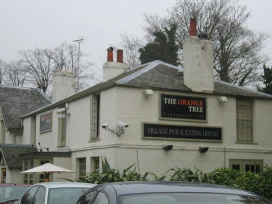 THE ORANGE TREE - Updated December 2025 - 23 Reviews - 7 Totteridge ...