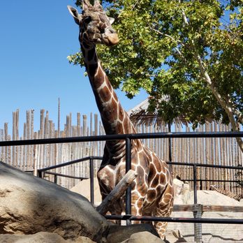 Top 10 Best Zoos in Santa Fe, NM - Last Updated February 2021 - Yelp