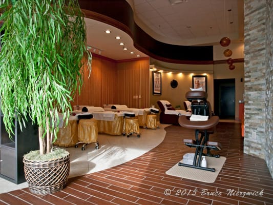 LIFE STUDIO - Updated November 2024 - 17 Photos & 15 Reviews - 17460 ...