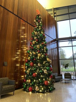 BUDA PUBLIC LIBRARY - Updated May 2025 - 11 Photos & 12 Reviews - 405 E ...