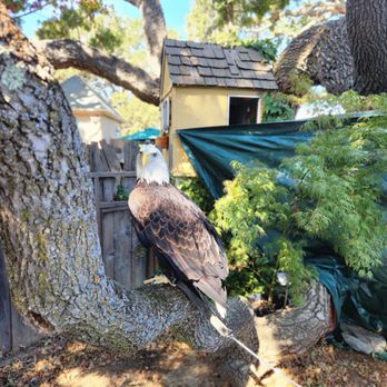 ALDEN LANE NURSERY - Updated June 2025 - 416 Photos & 227 Reviews - 981 ...