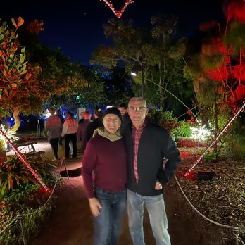 LIGHTSCAPE SAN DIEGO - Updated October 2025 - 250 Photos & 59 Reviews ...