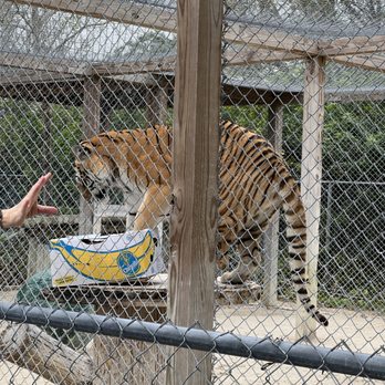 OCTAGON WILDLIFE SANCTUARY - Updated October 2025 - 213 Photos & 45 ...